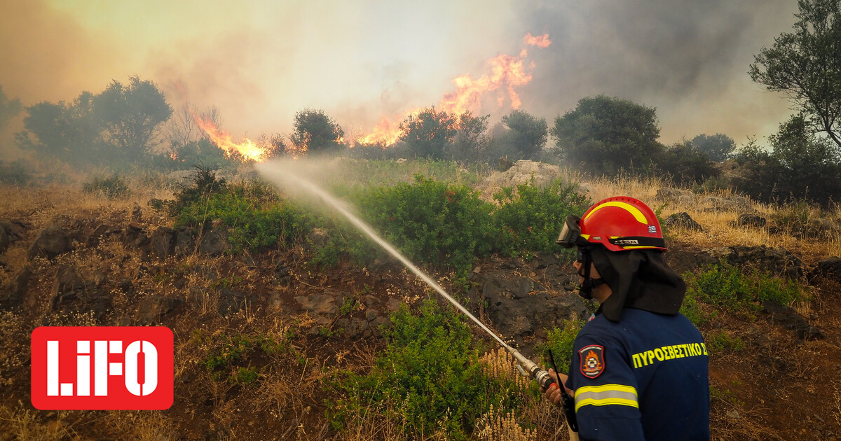 Φωτιά στα Τεμένια Χανίων: Μήνυμα του 112 - Εκκενώνονται σπίτια | LiFO